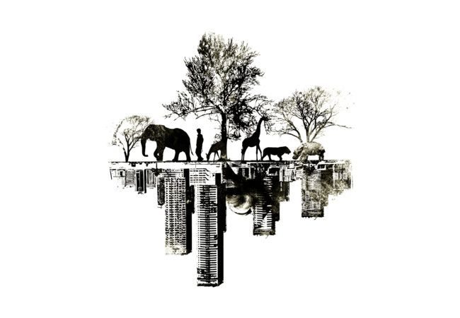 OLLI at UNLV Classes